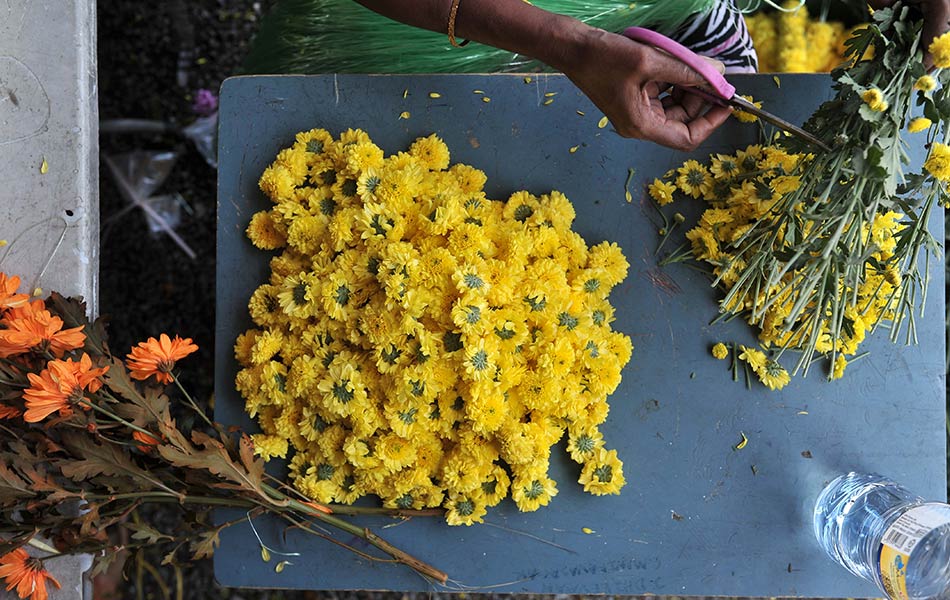 Bunga Malai | Wajah-wajah Malaysia | Foto | Astro Awani