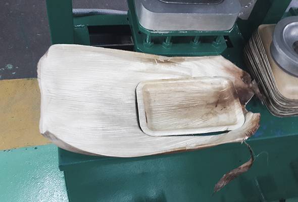 Pinggan mangkuk upih pinang, Fallaleaf jadi perhatian di program ...