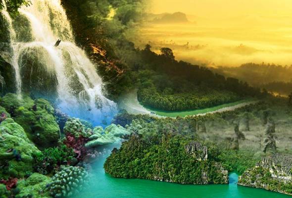 Buang ubat: Kesan jangka masa panjang terhadap alam sekitar | Astro Awani