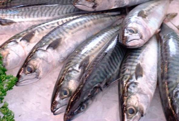 Adequate supply of fish for Aidiladha - Irmohizam | AWANI International