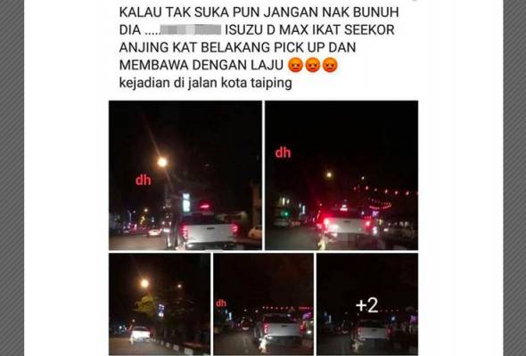 Gara-gara suka gigit wayar, anjing 'diheret' belakang trak pikap ...