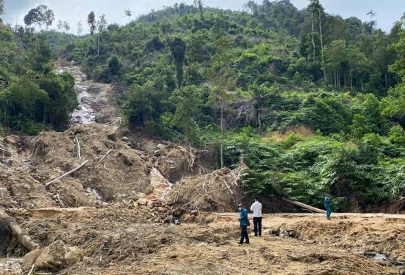 Kemusnahan Hutan Simpan Segari Melintang: KASA kesan 6 ketidakpatuhan ...
