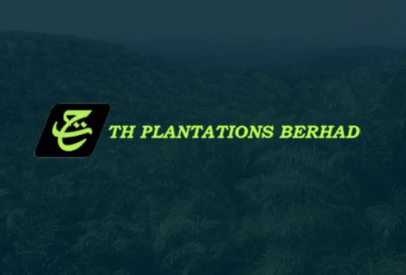 TH Plantations catat untung bersih RM13.99 juta bagi tahun kewangan ...
