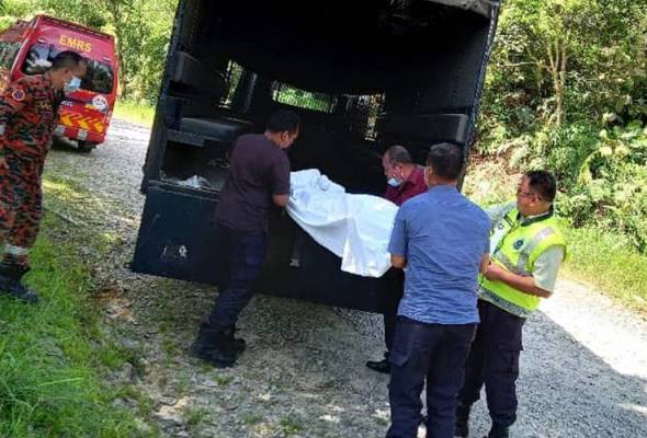 Warga emas maut dihempap dahan pokok | Astro Awani