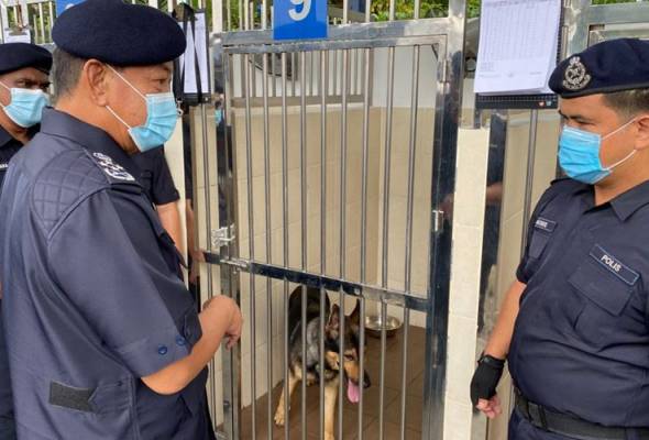 Penubuhan Unit K9, mantapkan gerak kerja Polis Langkawi | Astro Awani