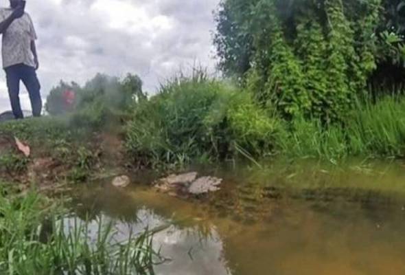 Copper crocodile: Terengganu Perhilitan prohibits people from entering ...
