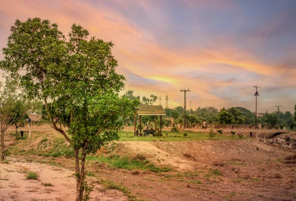 World Environment Day: Pakistan and its 'tree tsunami' project in the ...