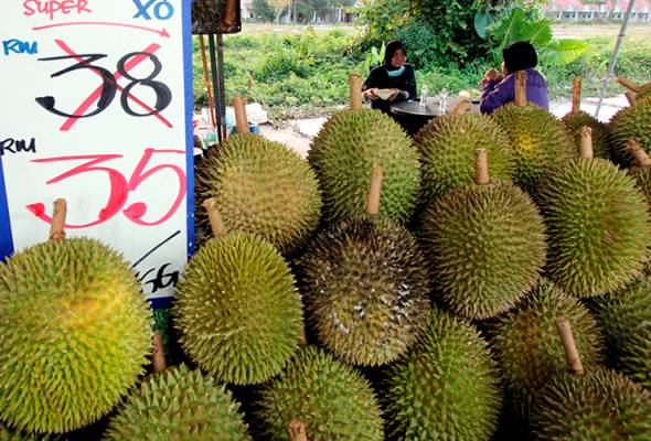 There will be an oversupply of durians due to total lockdown - Traders ...