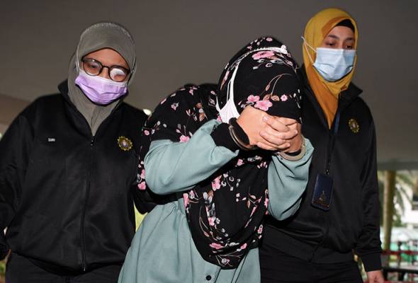 Pegawai veterinar mengaku tidak bersalah syor kerja pembekalan untuk ...