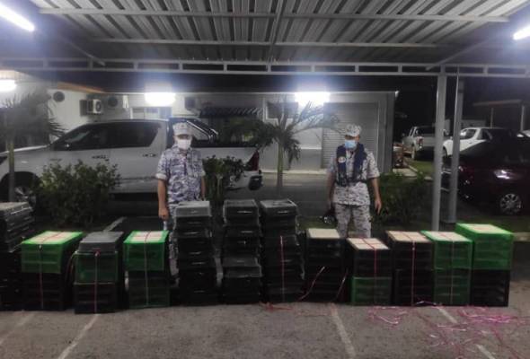 APMM patahkan cubaan sindiket seludup keluar 1,100 murai kampung ... APMM patahkan cubaan sindiket seludup keluar 1,100 murai kampung ...