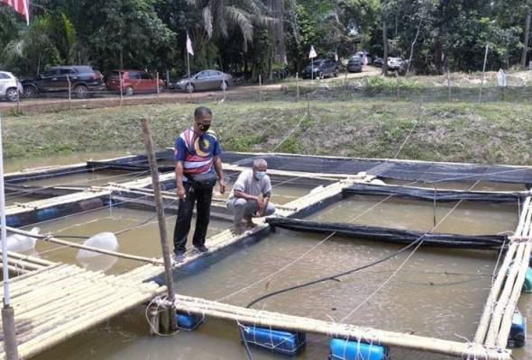 Second generation Felda settlers turn drug haunt into fish farm project ...