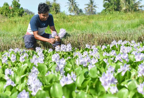 Sidek Ali tonjolkan keindahan Tumpat menerusi lensa kamera telefon ...