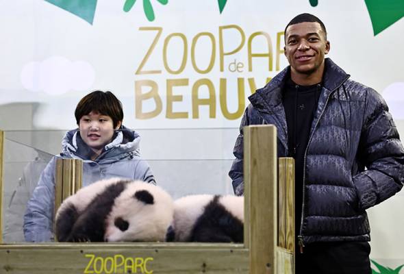 Bintang bola sepak Mbappe jadi bapa angkat kepada dua anak panda ...