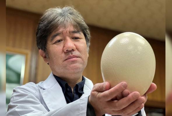 Saintis Jepun guna sel burung unta cipta pelitup muka kesan virus COVID ...