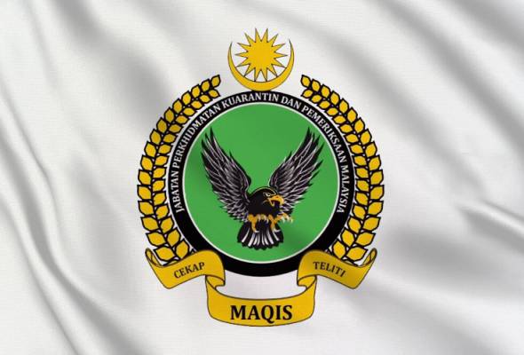 MAQIS rampas 10 tan beras import diikrar makanan haiwan | Astro Awani