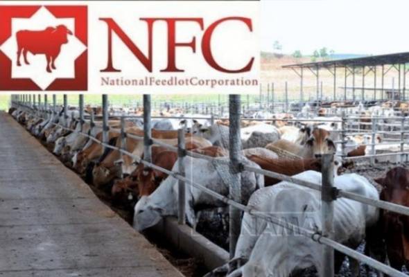 Govt, NFC to reach settlement on RM253.6 million suit by May 17 ...