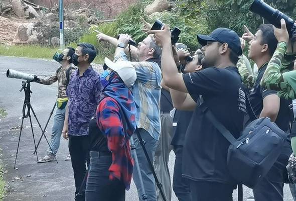 Pelbagai burung termasuk spesies terancam kembali ke Tasik Kenyir ...