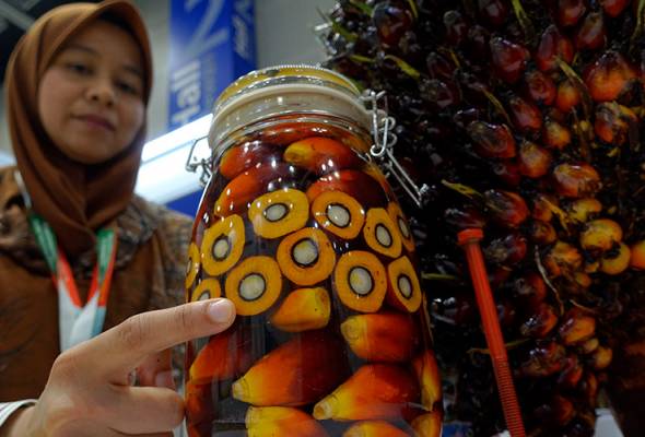 Isu bekalan ayam: Promosi sisa isirung sawit sebagai makanan haiwan ...