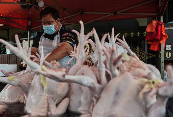 Subsidi makanan kepada golongan miskin tegar adalah lebih baik - Pakar ...