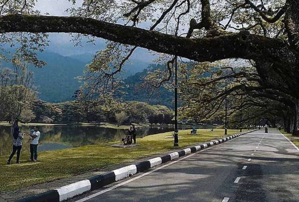 Bas elektrik Taiping dijangka beroperasi September | Astro Awani