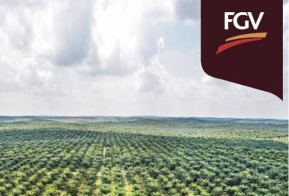 FGV kembali untung selepas margin yang lebih tinggi dalam produk sawit ...