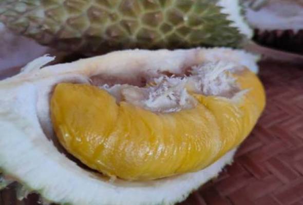 Populariti Musang King bantu promosi makanan, budaya Malaysia di China ...