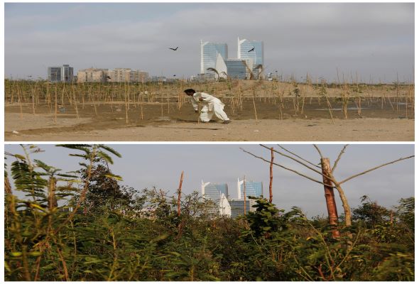 Pakistanis plant trees to provide relief from scorching sun | AWANI ...