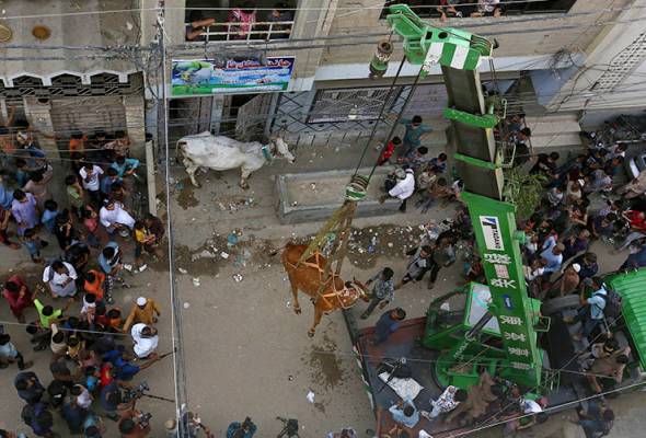 Hari Raya Aidiladha: Umat Islam di Pakistan lakukan persediaan | Astro ...