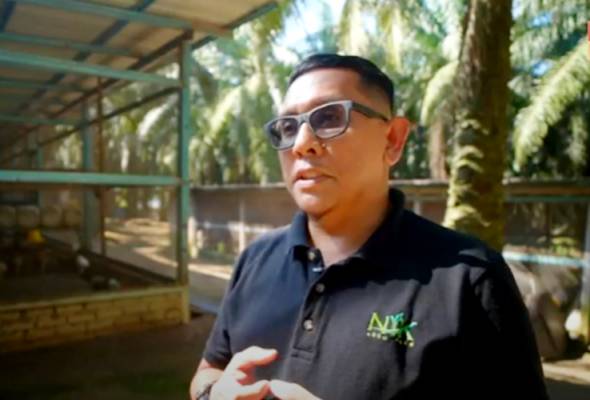 Usahawan FELDA : Nik Agro Farm sasar pengeluaran 15,000 anak ayam ...
