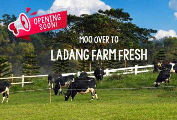 Farm Fresh mahu beli tanah di Negeri Sembilan jadi hab pembuatan baharu ...