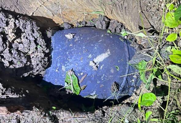 Carian mengenai topik Alexson Naga Chabu | Astro Awani