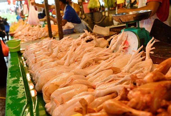 Harga siling ayam, kebenaran eksport akan diteliti - Annuar Musa | Astro Awani