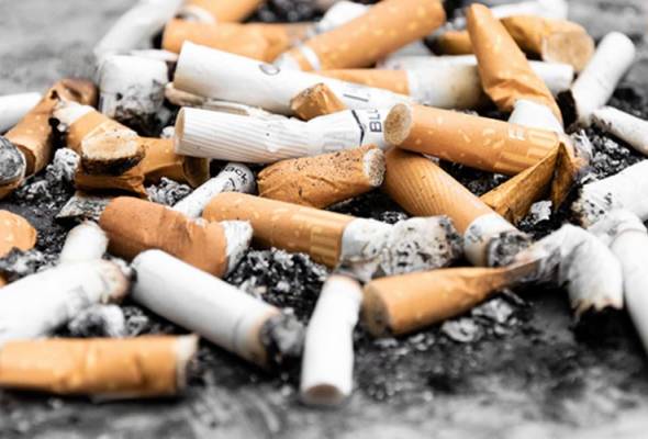 Kumpulan kesihatan antarabangsa sokong RUU kawalan produk tembakau ...