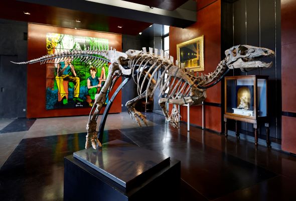 Small dinosaur fit for the living room to be sold at Paris auction ...