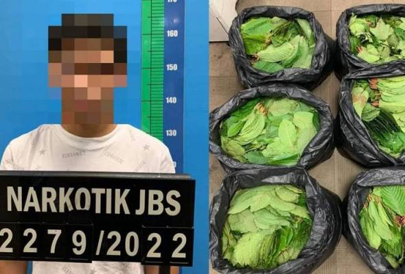 Remaja tauke ketum ditahan, lebih 200 kg daun ketum dirampas | Astro Awani