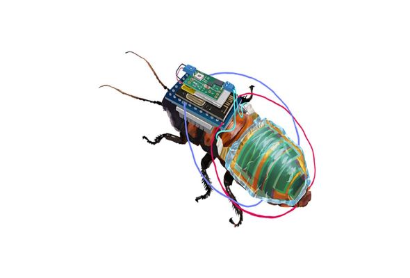These tiny cockroach-shaped robots can monitor the state of our ...