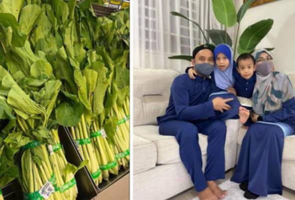 Carian mengenai topik menu-sayur-untuk-anak | Astro Awani