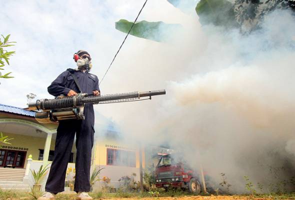 Increase in dengue cases in 47th epidemiological week | AWANI International