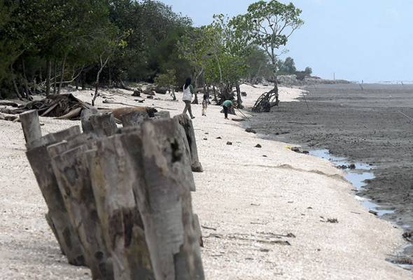 Pantai Sungai Kajang adalah kawasan hutan simpan paya bakau | Astro Awani