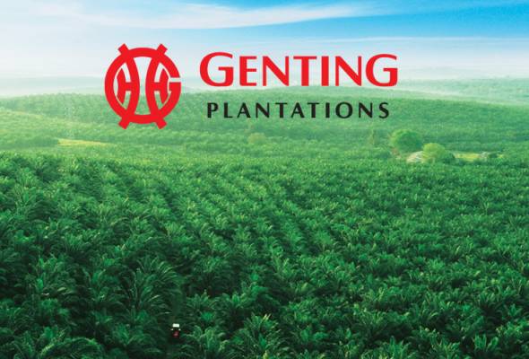 Genting Plantations catat keuntungan bersih tinggi sebanyak RM471.42 ...