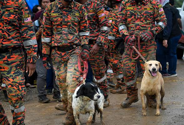 JBPM tambah 12 lagi anjing pengesan | Astro Awani