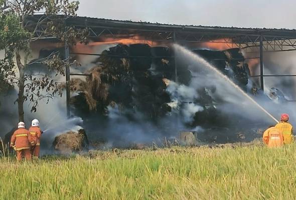 Pemilik gudang jerami melecur ketika cuba padam api | Astro Awani