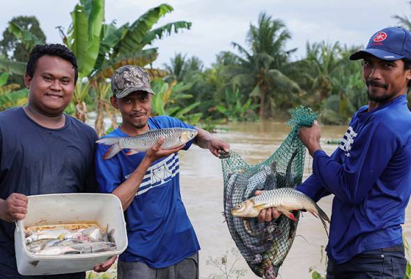 Banjir bawa rezeki tak terduga kepada penduduk sekitar Chaah | Astro Awani