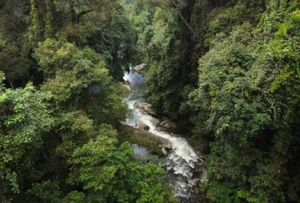 Cuaca panas: Suku Semaq Beri ikut adat kembali ke hutan | Astro Awani