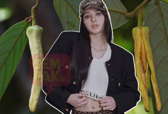 Carian mengenai topik friesodielsia-lalisae | Astro Awani