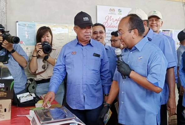 Malaysia teroka penanaman padi air masin, dapatkan kepakaran China ...
