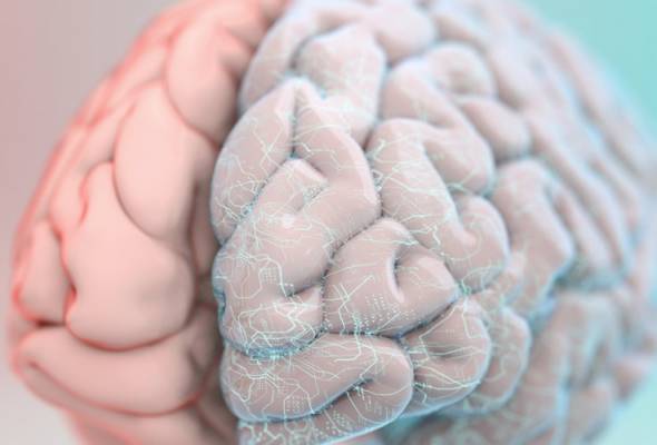 Why does your life flash before your eyes near death? | AWANI International