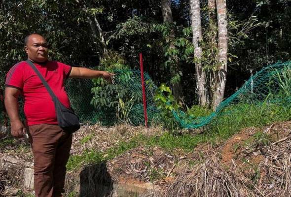 Orang Asli Pos Brooke risau kehadiran gajah liar semakin kerap | Astro ...