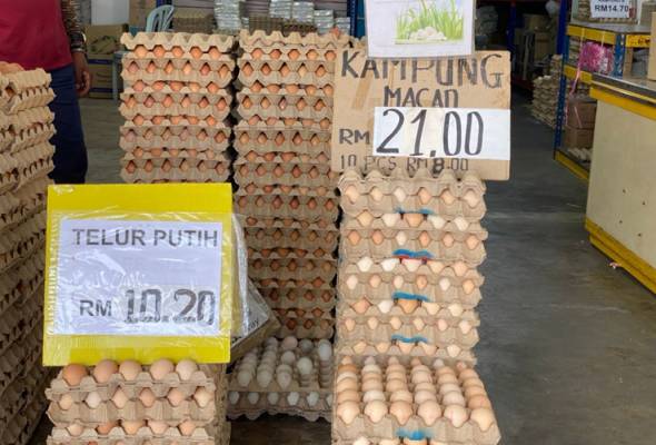 Subsidi telur: Pemborong, peniaga risau kenaikan harga tidak munasabah ...