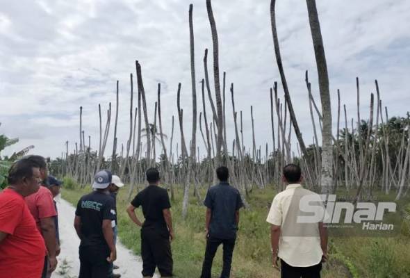 80 petani hadapi kerugian jutaan ringgit akibat penahan air laut pecah ...